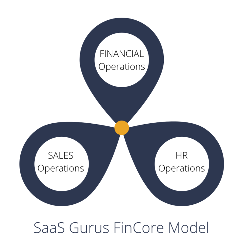 SaaS Gurus, Michigan Fractional CFO, SaaS Metrics and Accounting